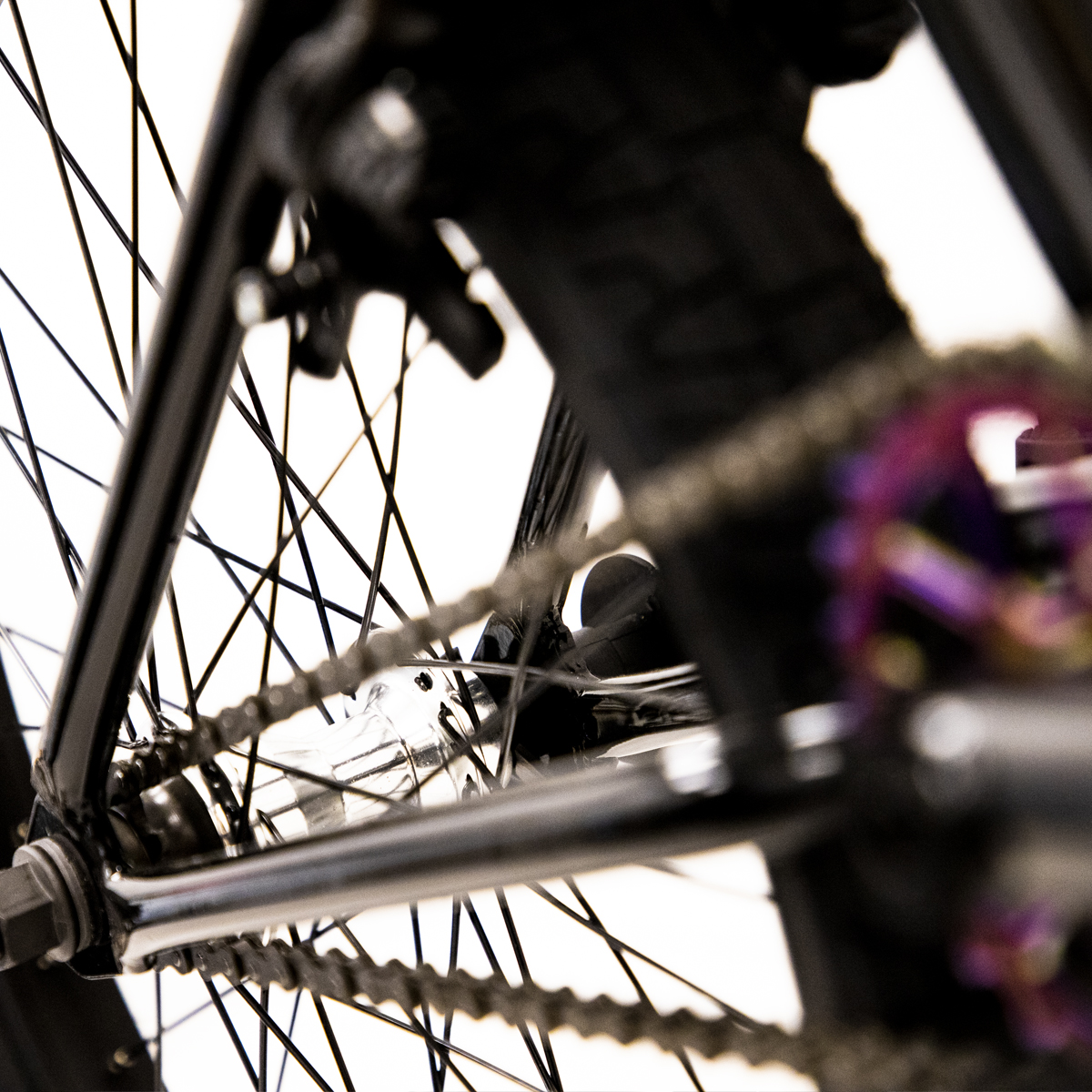 Rower BMX Academy Entrant Gloss Black / Rainbow : AveDistro